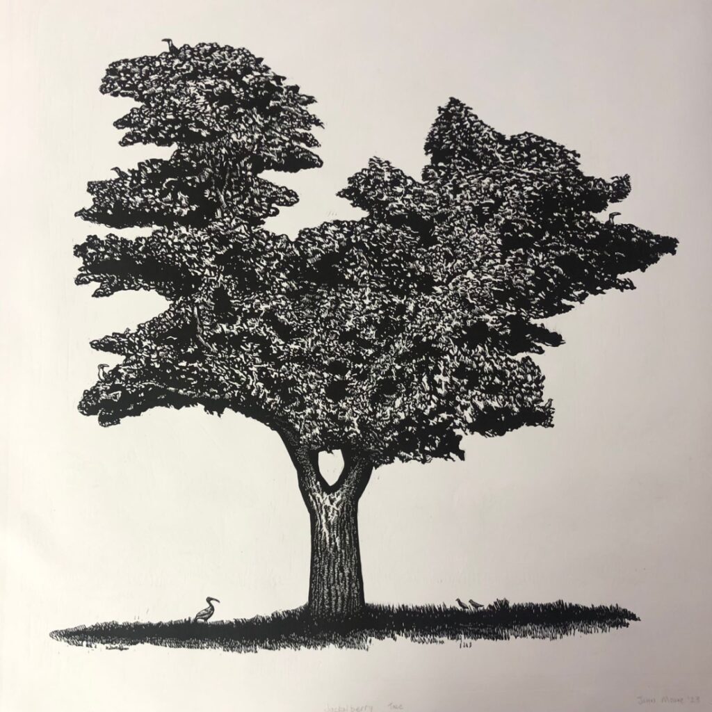 Tree Series - Jackalberry Tree - John Moore Art