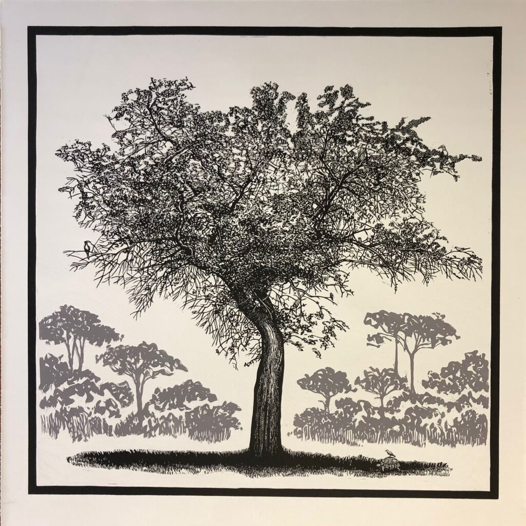 Tree Series - Leadwood Tree - State 2 - John Moore Art